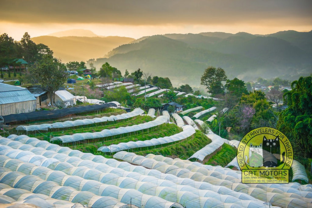 Doi Inthanon – 14 Treasures Of Thailand's Highest Mountain (2025)