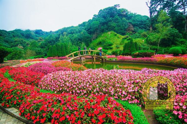 Doi Inthanon – 14 Treasures Of Thailand's Highest Mountain